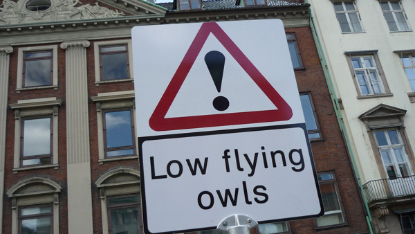 10 Road Signs You Won't Believe Are Real