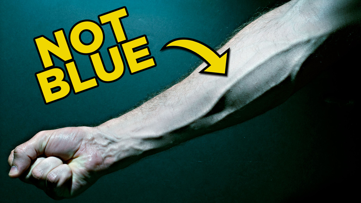 12 Myths About The Human Body Debunked