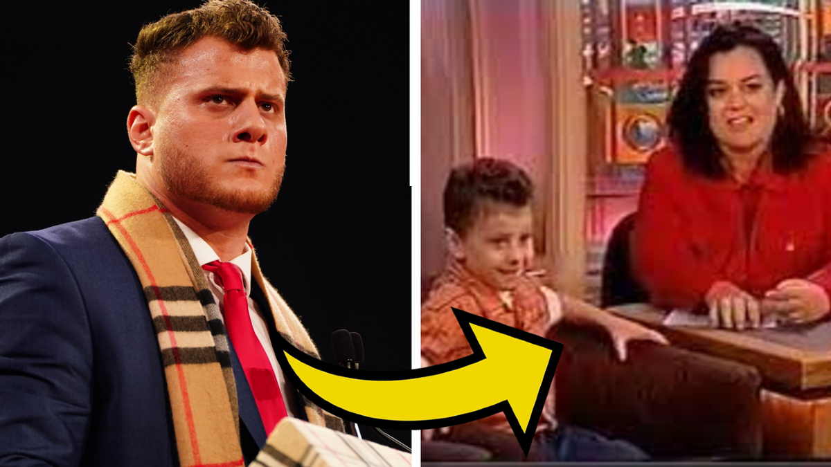 10 Wrestlers Who Did Bizarre TV Shows