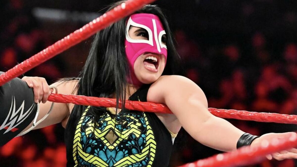 10 Most Random WWE Appearances